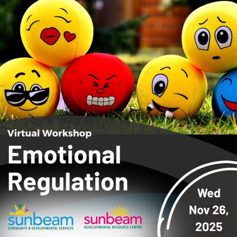 Emotional Regulation - Virtual Workshop